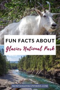 43+ Fun Facts about Glacier National Park | Montana Discovered