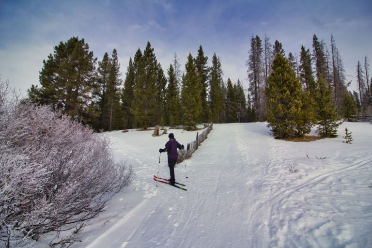 61 Fascinating Facts About Skiing | Montana Discovered